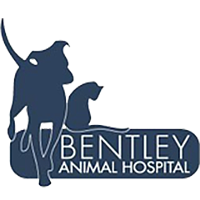 Bentley Animal Hospital 2026 Company Profile: Valuation, Investors ...
