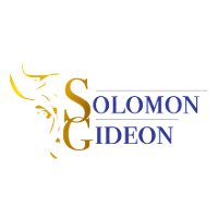 Solomon Gideon Capital Company Profile: Service Breakdown & Team ...