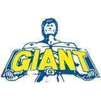 Giant Glass 2026 Company Profile: Valuation, Investors, Acquisition ...