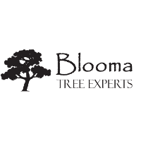Blooma Tree Experts 2026 Company Profile: Valuation, Investors ...