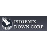 Phoenix Down Corporation 2026 Company Profile: Valuation, Funding ...