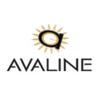 Avaline Gila Group 2026 Company Profile: Valuation, Investors ...