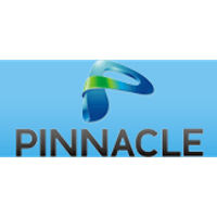 Pinnacle Teleservices 2026 Company Profile: Valuation, Funding ...