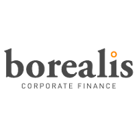 Borealis Corporate Finance Company Profile: Service Breakdown & Team ...