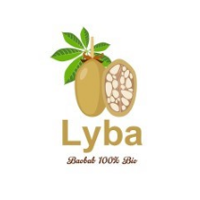 Lyba 2026 Company Profile: Valuation, Funding & Investors | PitchBook