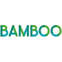 Bamboo (Consumer Finance) 2026 Company Profile: Valuation, Funding ...