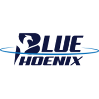 BluePhoenix Medical Technology 2026 Company Profile: Valuation, Funding ...