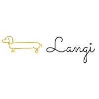 Langi (Educational Software) 2026 Company Profile: Valuation, Funding ...