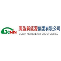 Gowin New Energy Group 2026 Company Profile: Stock Performance ...
