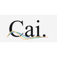 Cai. 2026 Company Profile: Valuation, Funding & Investors | PitchBook