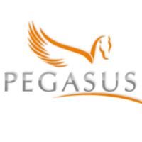 Pegasus IT Consultancy 2026 Company Profile: Valuation, Funding ...