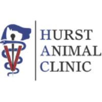 Hurst Animal Clinic 2026 Company Profile: Valuation, Investors ...