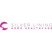 Silver Lining Home Healthcare 2026 Company Profile: Valuation ...
