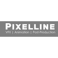 Pixelline 2026 Company Profile: Valuation, Funding & Investors | PitchBook