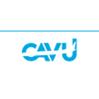 CAVU Venture Partners I: Fund Performance | PitchBook