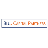 Blu Capital Partners Company Profile: Service Breakdown & Team | PitchBook