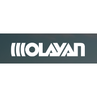 The Olayan Group investment portfolio | PitchBook