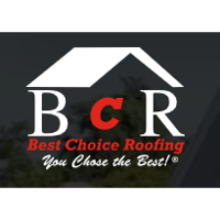 Best Choice Roofing & Home Improvement 2026 Company Profile: Valuation ...