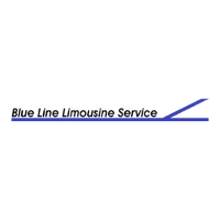 Blue Line Limousine 2026 Company Profile: Valuation, Funding ...