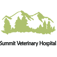Summit Veterinary Hospital 2026 Company Profile: Valuation, Investors ...