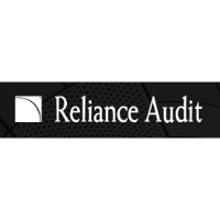 Reliance Audit Company Profile: Service Breakdown & Team | PitchBook