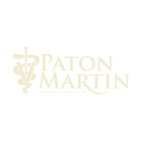 Paton & Martin Veterinary Services 2026 Company Profile: Valuation ...