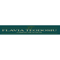 Law office of Flavia Teodosiu Company Profile: Service Breakdown & Team ...