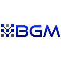 BGM Electronic Services 2026 Company Profile: Valuation, Investors ...