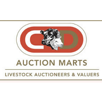 C & D Auction Marts 2026 Company Profile: Valuation, Investors ...