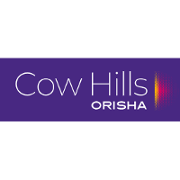 Cow Hills 2026 Company Profile: Valuation, Investors, Acquisition ...
