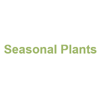 Rectory Field Nursery 2026 Company Profile: Valuation, Investors ...
