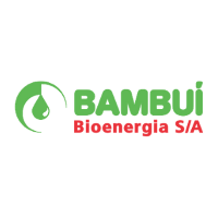 Bambui Bioenergia 2026 Company Profile: Valuation, Funding & Investors ...