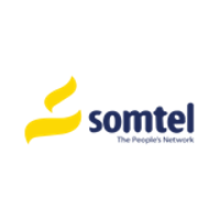 Somtel 2026 Company Profile: Valuation, Investors, Acquisition | PitchBook