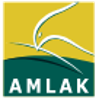 Amlak Finance 2026 Company Profile: Stock Performance & Earnings ...
