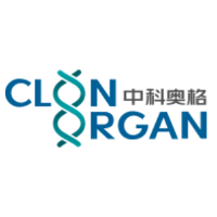 ClonOrgan 2026 Company Profile: Valuation, Funding & Investors | PitchBook