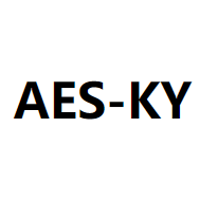 Advanced Energy Solution 2026 Company Profile: Stock Performance ...