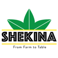Shekina 2026 Company Profile: Valuation, Funding & Investors | PitchBook