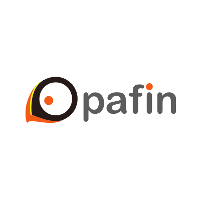 Pafin 2026 Company Profile: Valuation, Funding & Investors | PitchBook