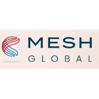 Mesh Global 2026 Company Profile: Valuation, Funding & Investors ...