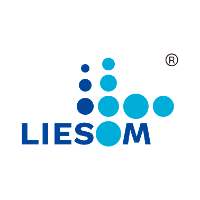 Liesom 2026 Company Profile: Valuation, Funding & Investors | PitchBook