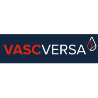 VascVersa 2026 Company Profile: Valuation, Funding & Investors | PitchBook