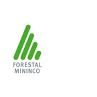 Forestal Mininco 2026 Company Profile: Valuation, Investors ...