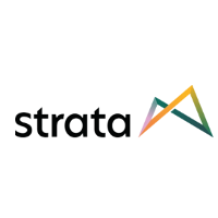 Strata (Consulting Service) 2026 Company Profile: Valuation, Funding ...