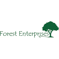 Forest Enterprises 2026 Company Profile: Valuation, Investors ...