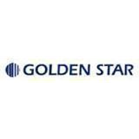 Goldenstar 2026 Company Profile: Valuation, Funding & Investors | PitchBook