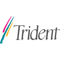 Trident Microsystems 2026 Company Profile: Valuation, Investors ...