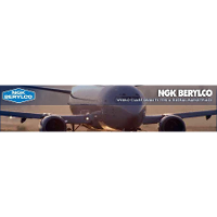 NGK Berylco Metals Corp. 2026 Company Profile: Valuation, Funding ...