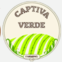 Captiva Verde Industries 2026 Company Profile: Overview & Executives ...