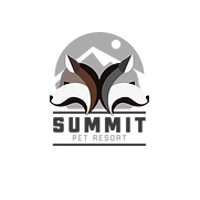 Summit Pet Resort 2026 Company Profile: Valuation, Funding & Investors ...