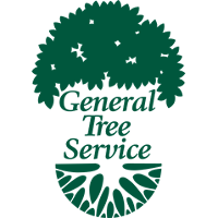General Tree Service 2026 Company Profile: Valuation, Investors ...